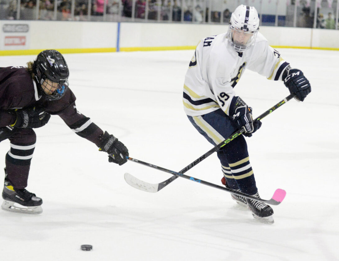 Tigers break away in second to beat rival Lions | News, Sports, Jobs - Altoona Mirror